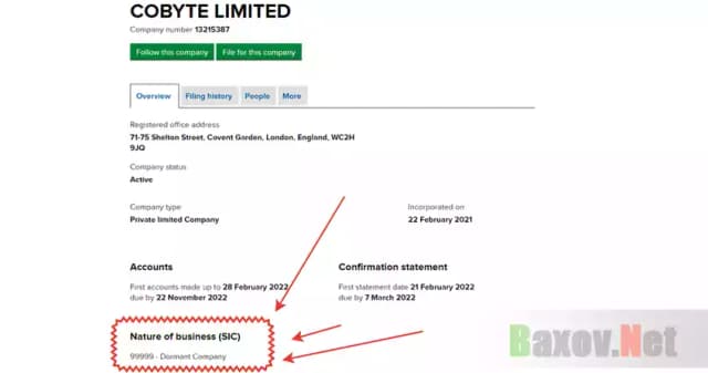 Cobyte Ltd - платформа по выкачке денег