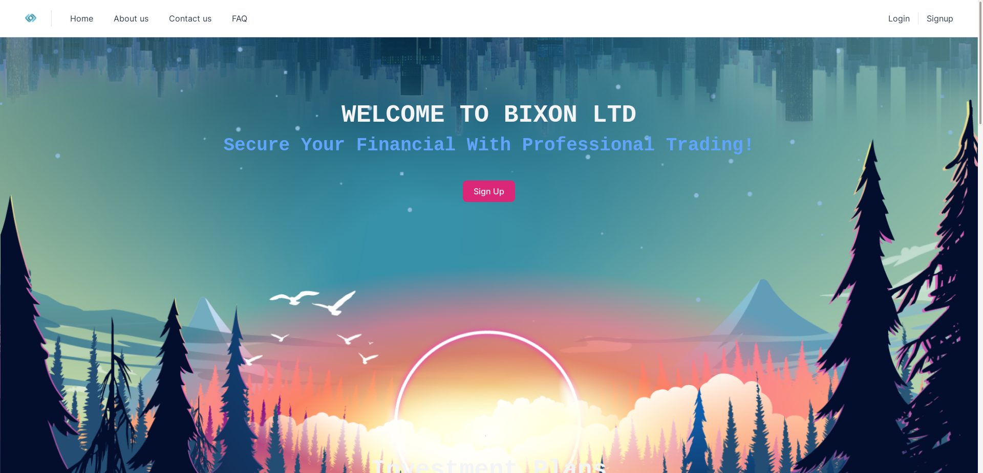 Bixon Ltd